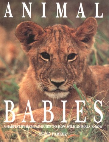 Amazon | Animal Babies: A Habitat-By-Habitat Guide to How Wild Animals ...