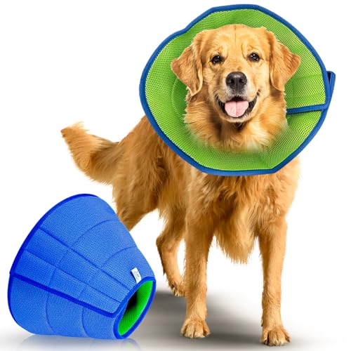 Collier cône pour chien – Les 15 meilleurs produits comparés - Wild ...