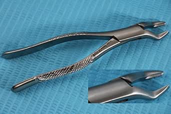 Amazon.com: German EXTRACTING Forceps NO 10S Dental Surgical ...