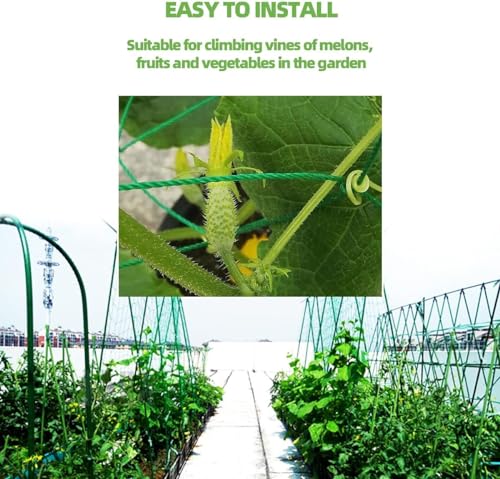 Snapklik.com : Trellis Netting, Garden Trellis Netting For Climbing ...