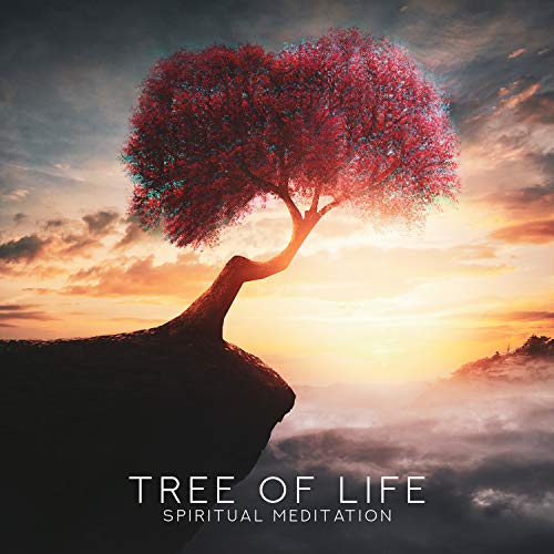 Amazon.com: Tree of Life: Spiritual Meditation - Soul Reset, Return to ...
