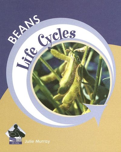 Beans (Life Cycles): Murray, Julie: 9781599287027: Amazon.com: Books
