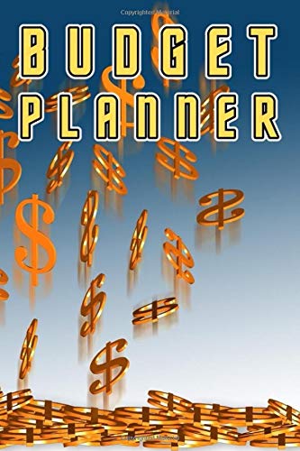 Amazon.com: Budget Planner: Large (6 x 9 inches) 110 Pages (Financial ...