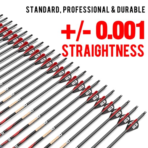 Sanlida Archery Dragon 10 Carbon Hunting Arrows 24Pcs 300 Spine and ...