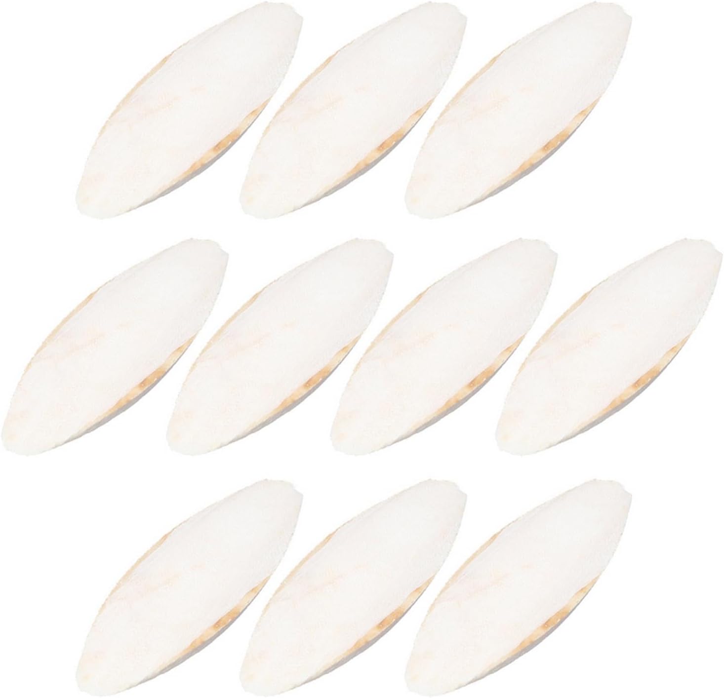 Amazon.com : GEUGECY 20 Pack Bird Cuttlebone Chew Toy, Natural ...