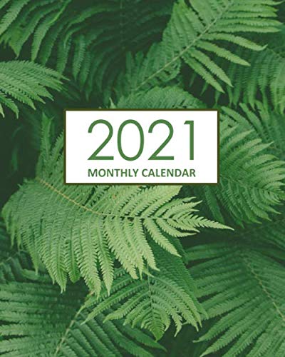 2021 Monthly Calendar: Desk Diary 2021 - Appointment Diary 2021 - Daily ...