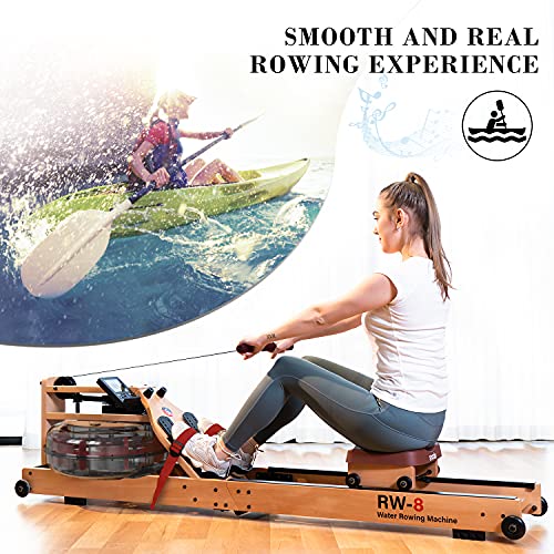 Snode RW8 Water Rower: Pros, Cons, Cost and More