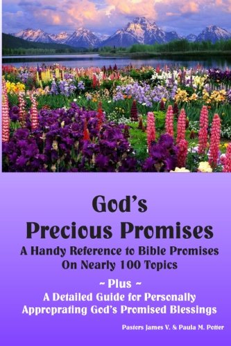 God's Precious Promises | Amazon.com.br