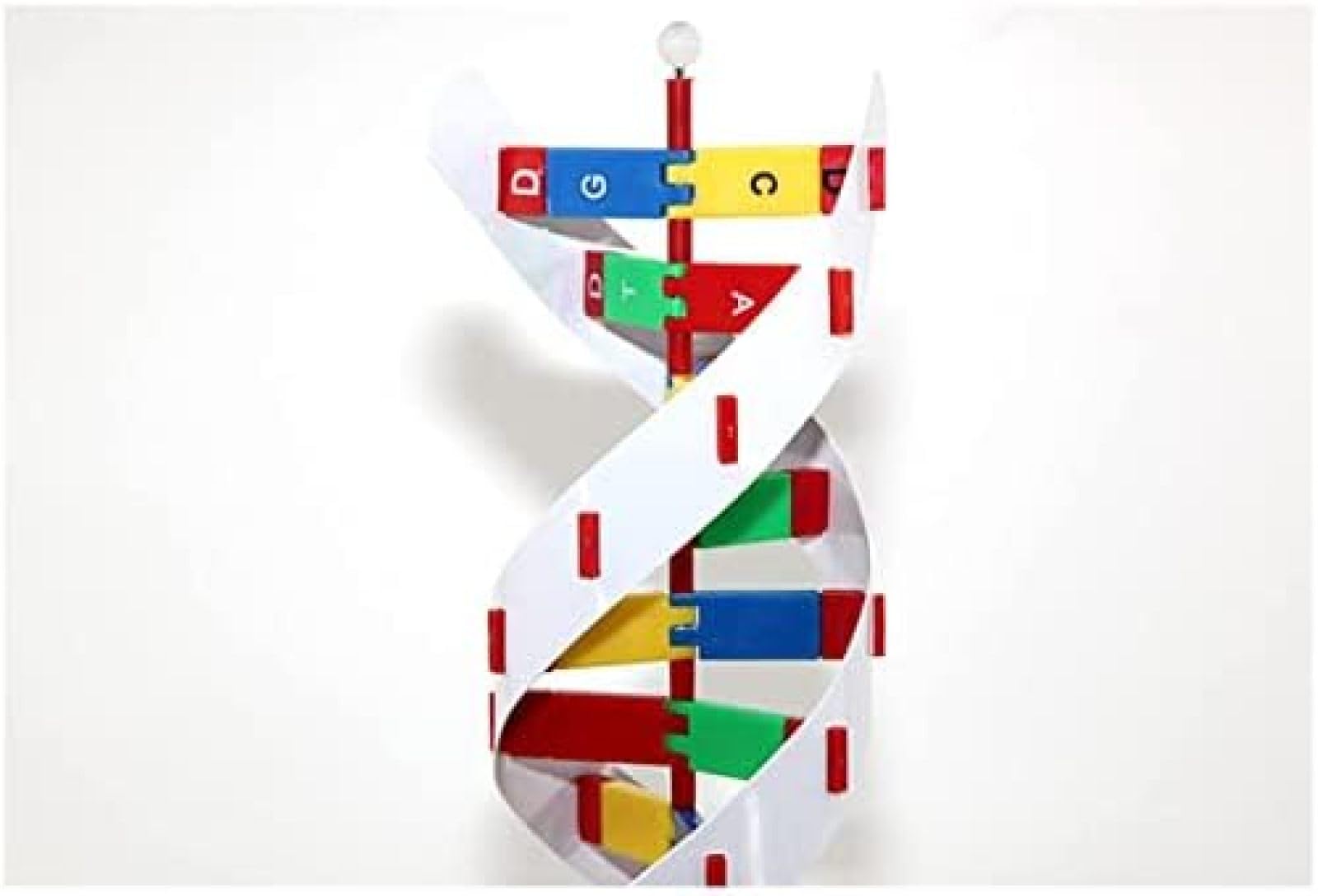 Modelo De Estrutura Do Dna Humano Foto 51: A Fascinante História Por