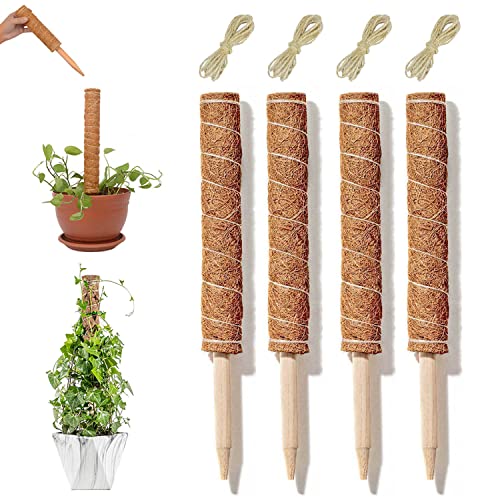 Tutores para plantas Leroy Merlin: el soporte perfecto para tus plantas ...