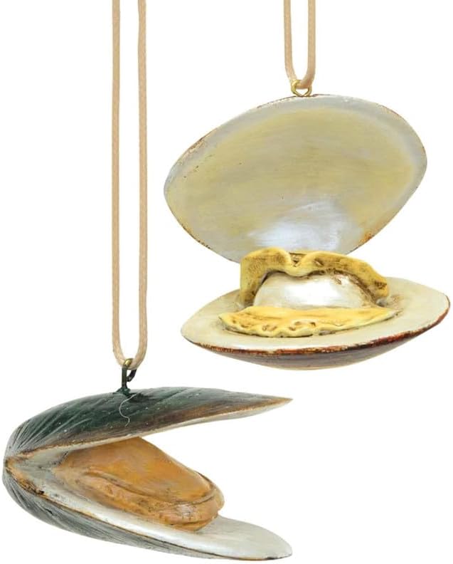 Amazon.com: The Bridge Collection 2" Mussel & Clam Ornament - Set of ...