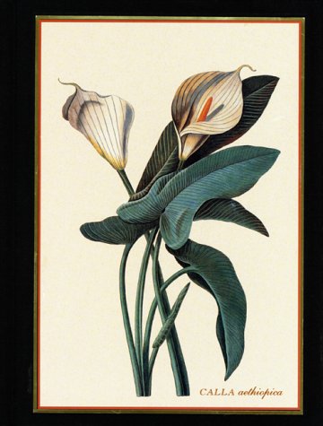 Amazon.com: Calla Lily: Botanical/Blank Book: 9781551560069 ...