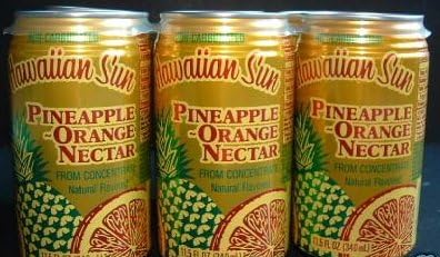 Amazon.com : Hawaiian Sun Premium Tropical Juice Drink Party Bundle of ...