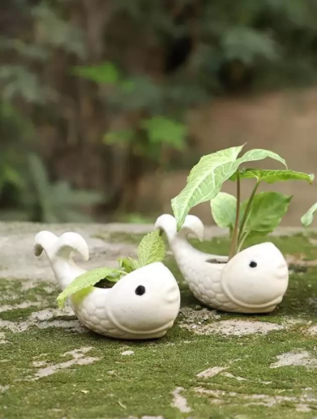 Lyallpur Stores Ceramic Planter Pot (White Color, Fish Shape, Pack of 2 ...