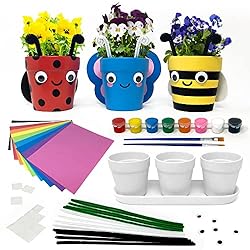 Amazon.com: Pinwheel Crafts Flower Pot Kit Kids Craft - Art Kits for ...