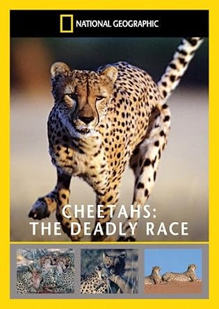 Amazon.co.jp: National Geographic: Cheetahs [Import anglais] : DVD