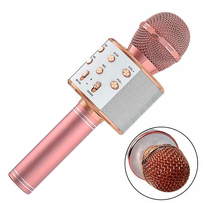 VRJTEC Rechargeable Wireless Microphone with Card Slot, Aux Port ...