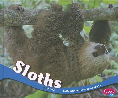 Sloths (South American Animals): Schuh, Mari, Saunders-Smith, Gail ...