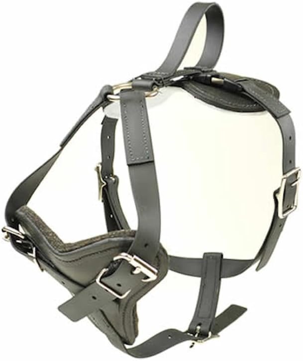 Amazon.com : Ray Allen Mfg Signature K9 Biothane Multi-Function Harness ...