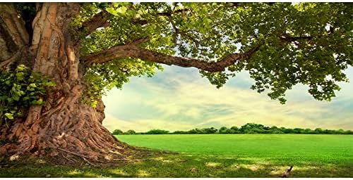 Amazon.com : CSFOTO 20x10ft Huge Tree Backdrop Rural Scenery Field ...