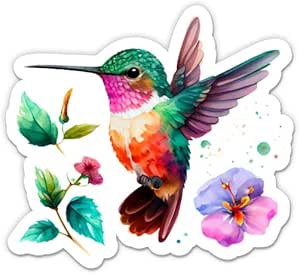 Amazon.com - Watercolor Hummingbird Stickers - 2 Pack - Waterproof ...