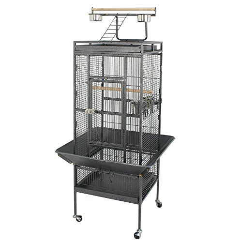 Top 10 Best Large Iron Bird Cage : Reviews & Buying Guide - Katynel