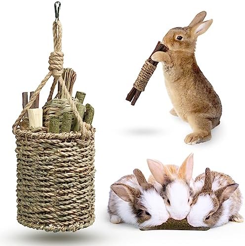 Amazon.com : Bissap Rabbit Chew Toys, Natural Seagrass Hanging Basket ...
