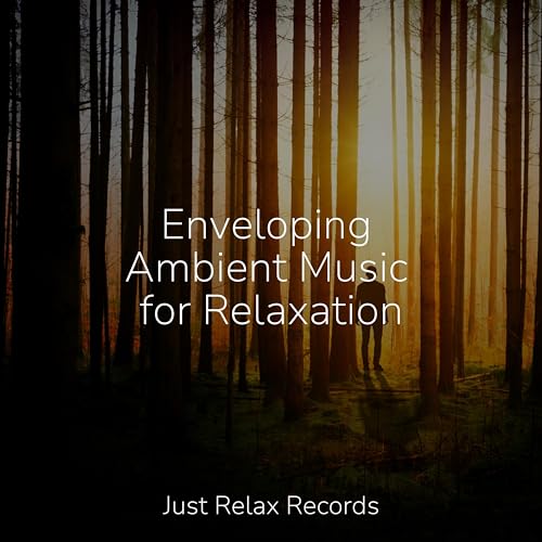 Enveloping Ambient Music for Relaxation de Musica Relajante, Rising ...