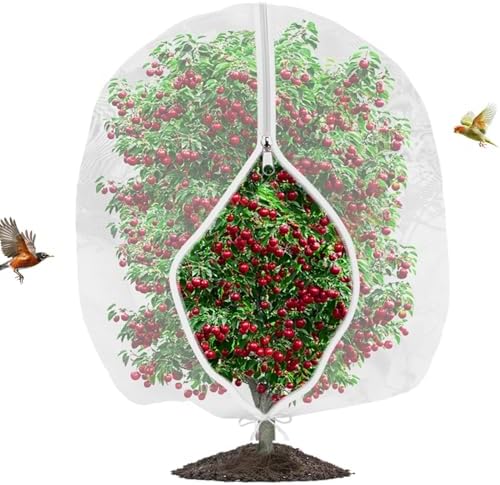 Fruit Trees Netting Bird Protection, 183x215cm 6x7ft Fruit Protection ...