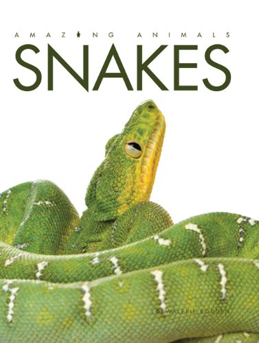 Amazing Animals: Snakes: Bodden, Valerie: 9781926722283: Amazon.com: Books
