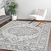 Amazon.com: MaxRugrs Area Rugs 5x7 Washable Rugs for Living Room- Grey ...