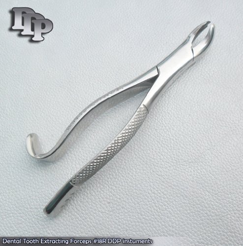 Amazon.com: Dental Tooth Extracting Forceps #18R DDP instuments ...