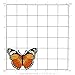 [ The Lepidopterarium ] Tangerine Orange Milkweed Monarch Butterfly ...