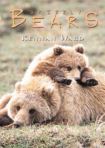 Bears Box Set (Boxed Cards series): Ward, Kennan: 9781883741297: Amazon ...