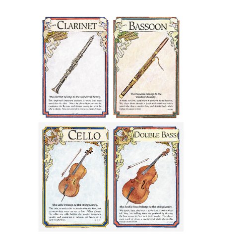 Amazon.com: Musical Instruments Learning Cards: 9780742406490 ...