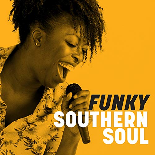 Amazon.com: Funky Southern Soul : VARIOUS ARTISTS: Digital Music