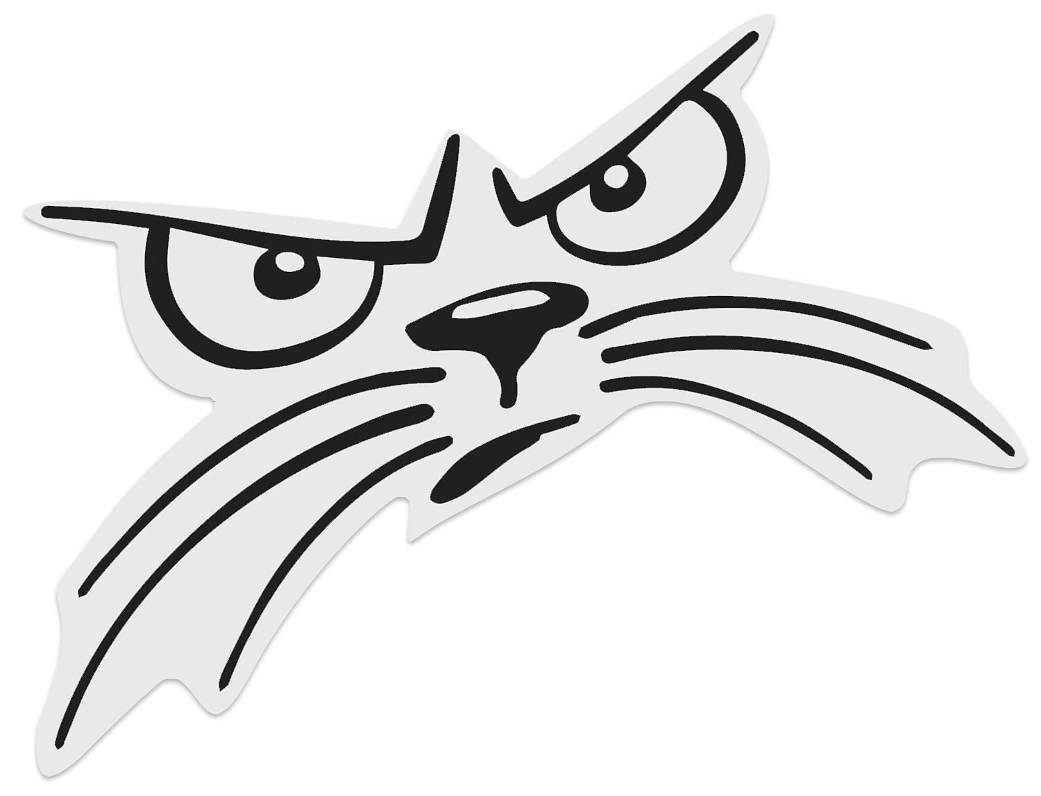Funny Angry Cat Faces