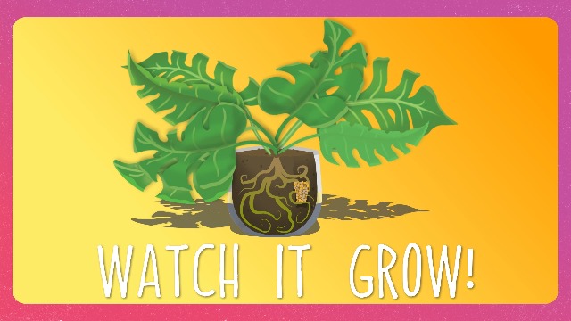 Watch What is a PotShot? on Amazon Live