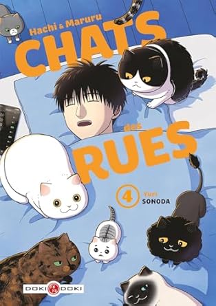 Hachi & Maruru - Chats des rues - vol. 04 : SONODA, Yuri: Amazon.fr: Livres