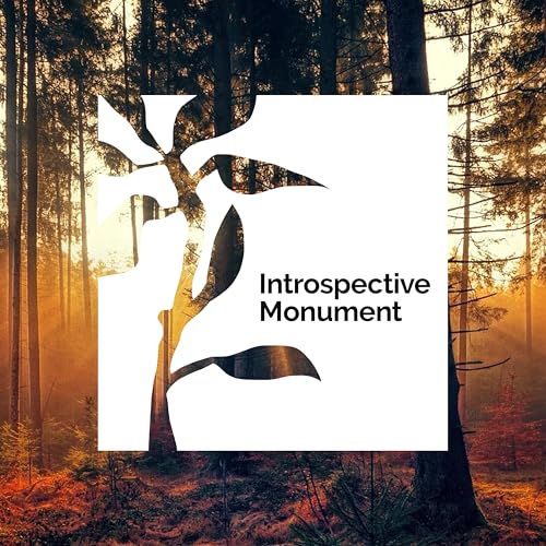 Amazon.com: Introspective Monument : VARIOUS ARTISTS: Digital Music