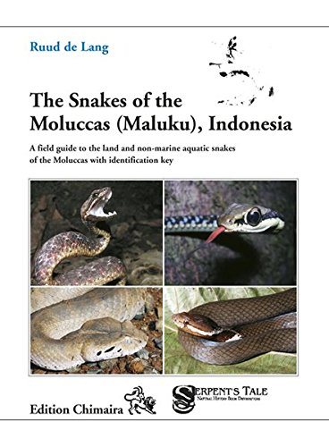 The Snakes of the Moluccas (Maluku), Indonesia: Ruud de Lang ...