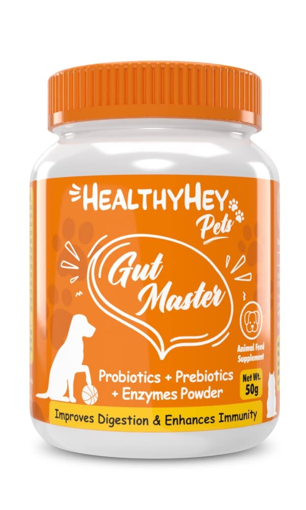 HealthyHey Pets Gut Master - Probiotics - Prebiotics - Enzymes Powder ...