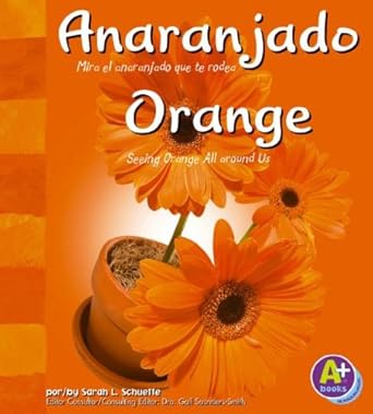 Anaranjado/ Orange: Mira El Anaranjado Que Te Rodea/ Seeing Orange All ...