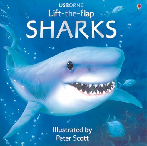 Amazon | Sharks (Lift-the-flap S.) | Scott, Peter | Activity Books
