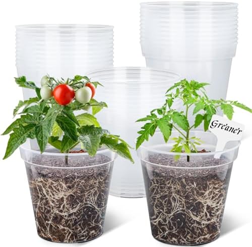 Amazon.com: GREANER 7 Inch Transparent Plastic Garden Pots, Clear Plant ...