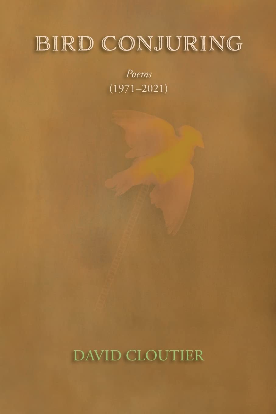 Bird Conjuring, Poems, 1971-2021: David Cloutier: 9781632933676: Amazon ...