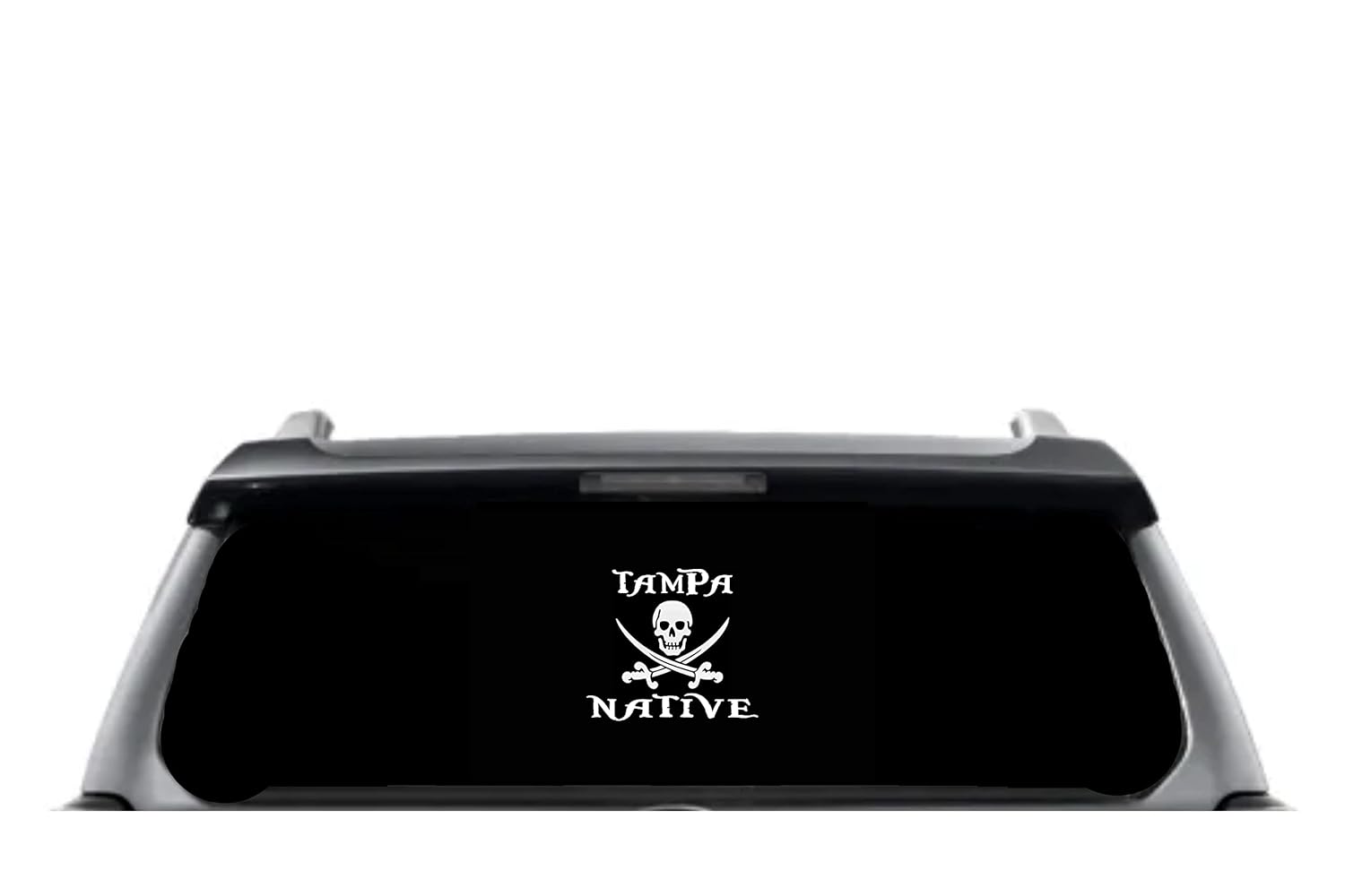 Amazon.com: Tampa Florida Native Decal White Choose Size : Automotive