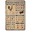 Amazon.com: Chicken Knowledge Metal Sign Chicken Coop Tin Signs Wall ...