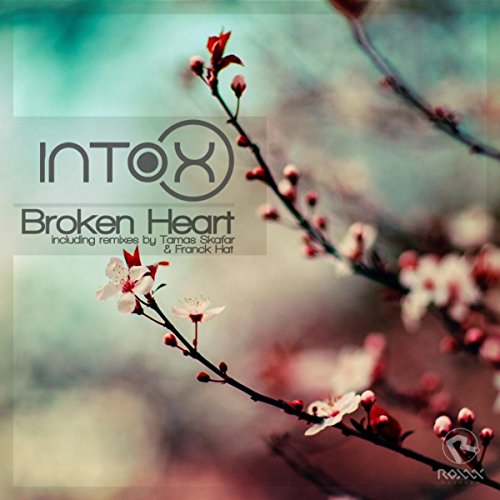 Amazon.com: Broken Heart : Intox: Digital Music