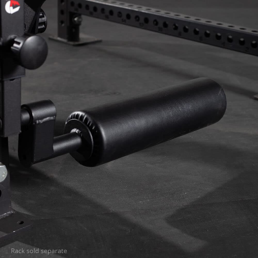 Titan Fitness Titan Series Plate-Loaded Leg Curl and Extension Rack ...